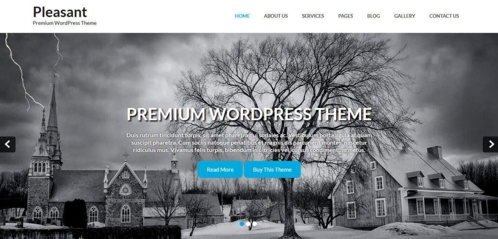 The Best WordPress free Themes with Sidebar Navigation - Grace Themes