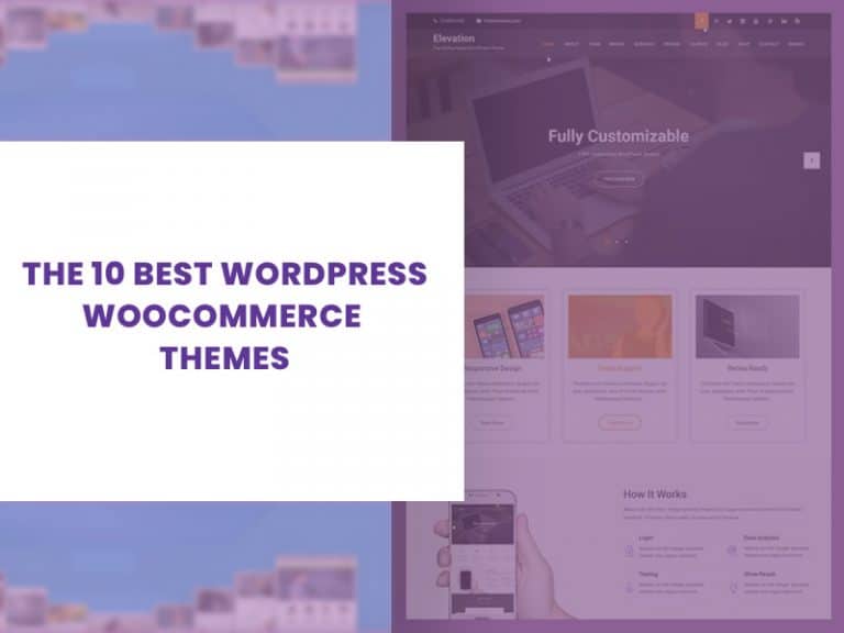 WordPress News Trends and Informations | GraceThemes Blog