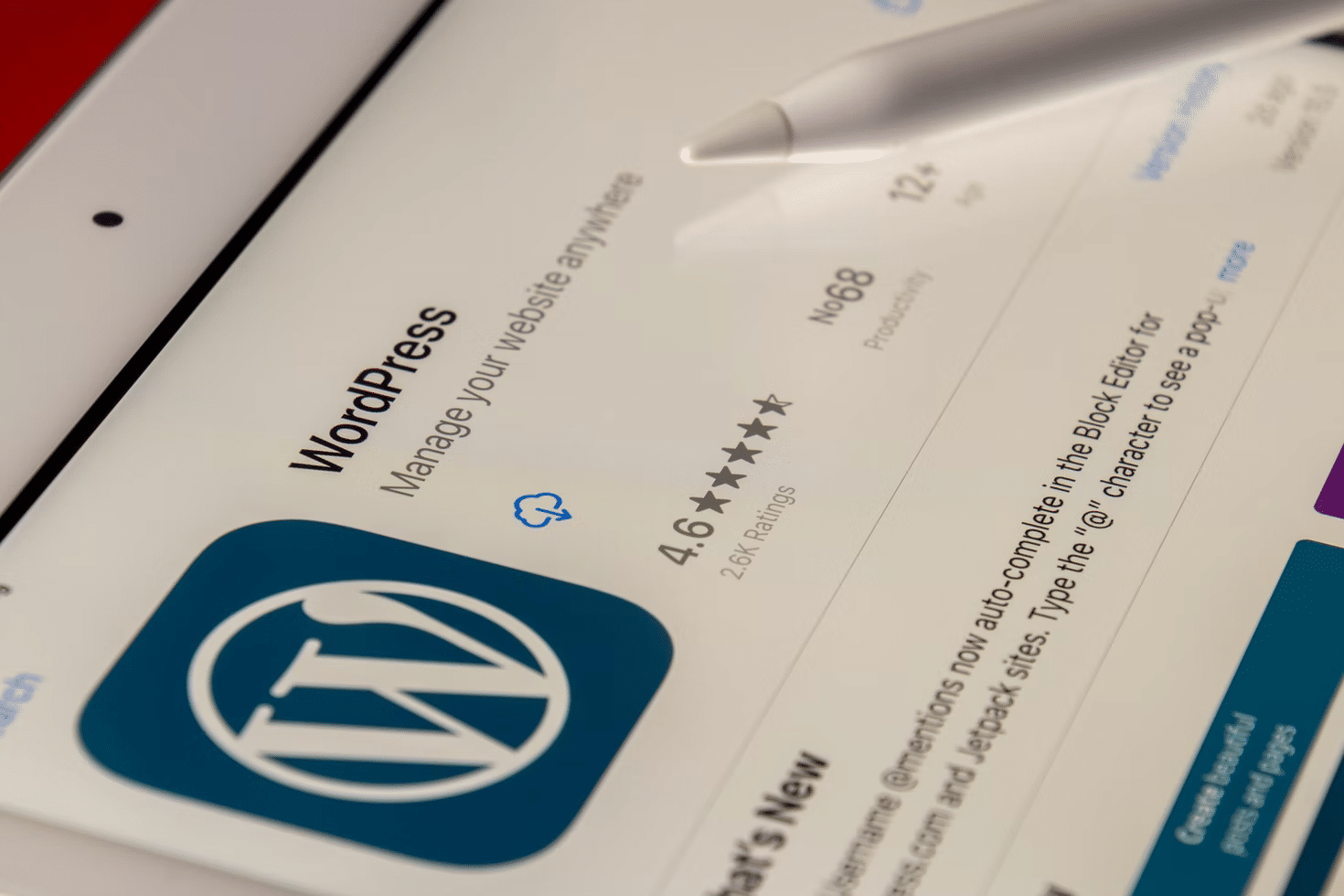 How To Create A Gallery In WordPress Useful Instructions For Beginners 