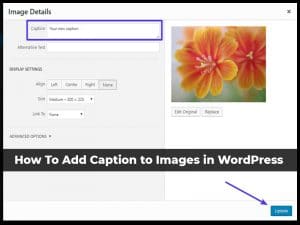 How To Add Caption to Images in WordPress Step by Step - Grace Themes