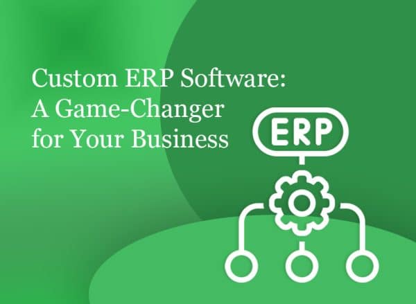 Custom ERP Software: A Game-Changer for Your Business - Grace Themes