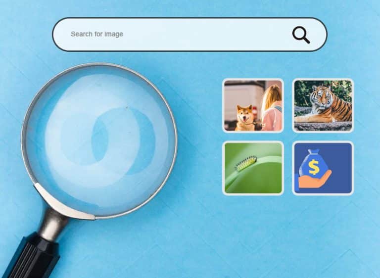 How Designers Can Benefit from Using Advanced Image Search Tools ...